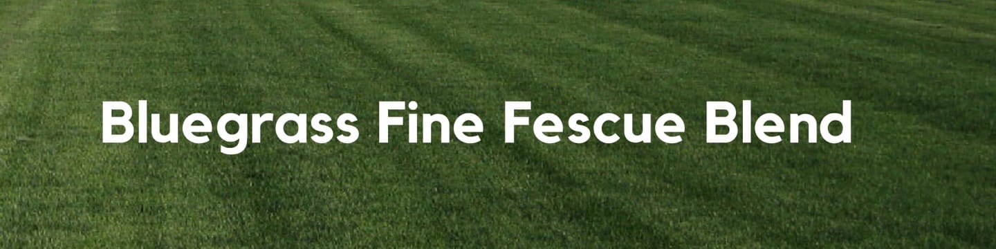 Sod Varieties – East Coast Sod & Seed
